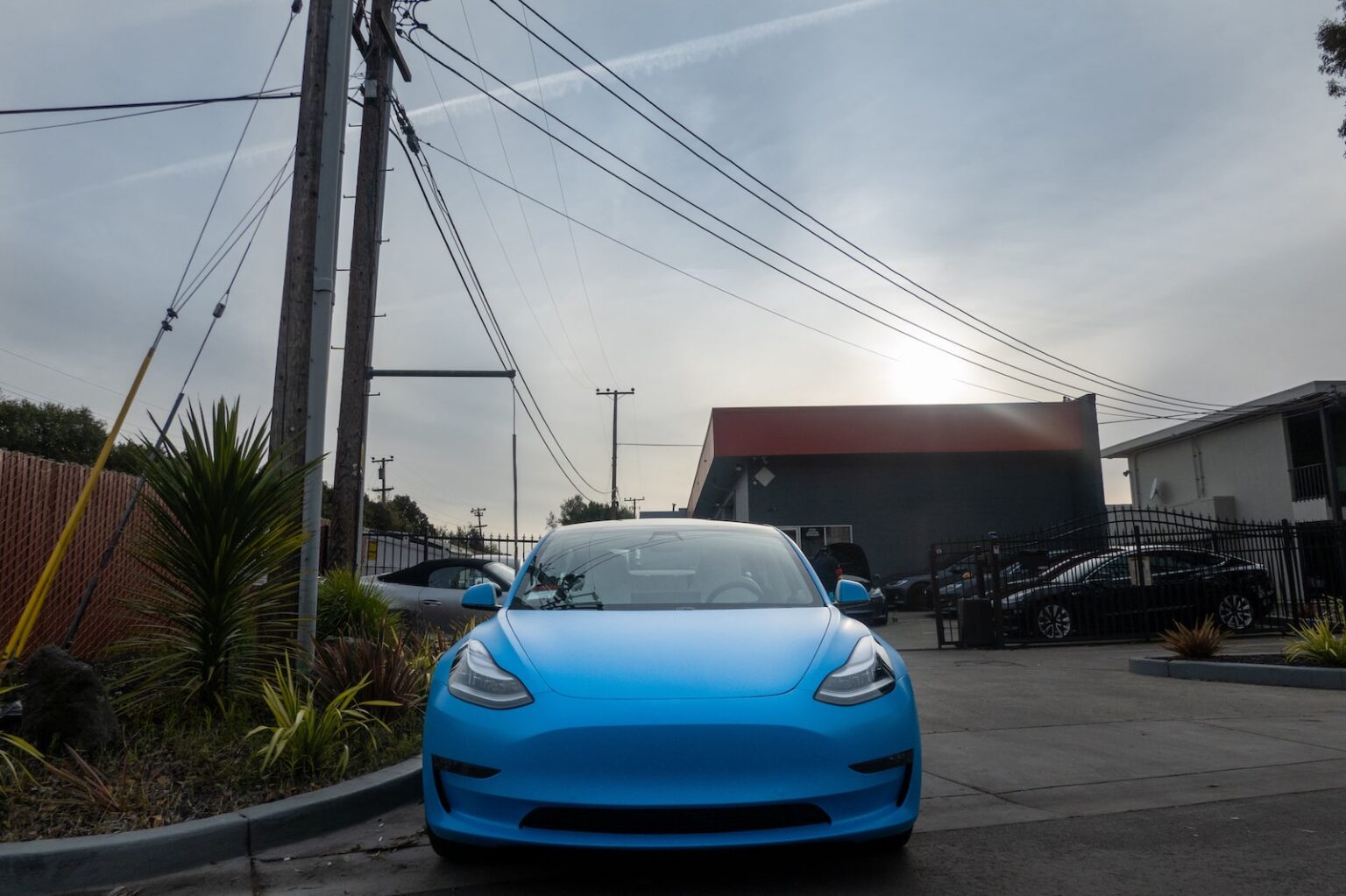 Tesla Model 3 - Matte Riviera Blue Vinyl Wrap | 3M 2080 - M67 - OCDetailing